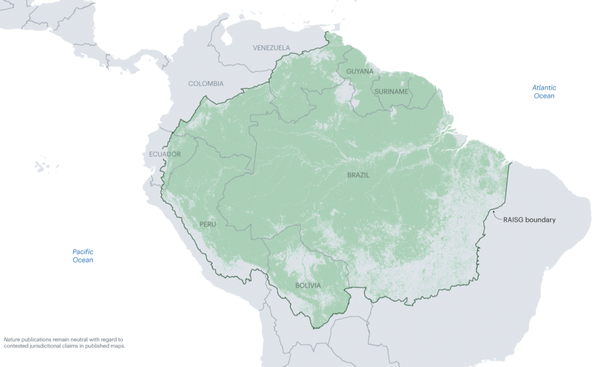 Last stand in the Amazon