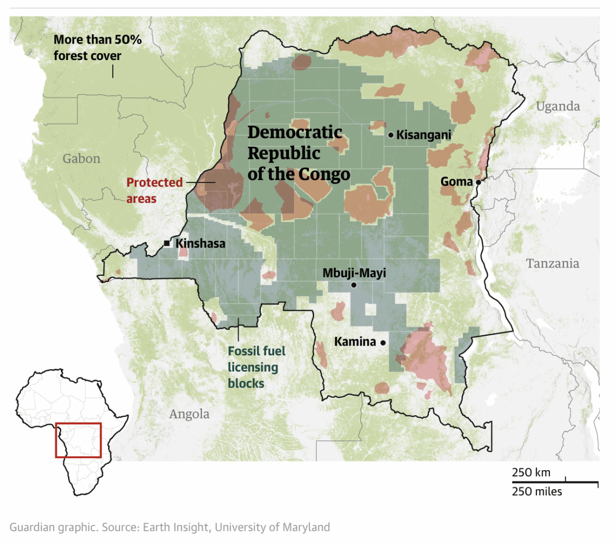 Gorilla habitats and pristine forest at risk as DRC opens half of ...